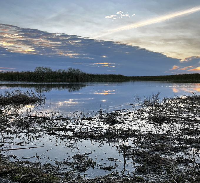 A wilderness of sawgrass and sky stretches to the horizon at Loxahatchee, where birds outnumber people a thousand to one.