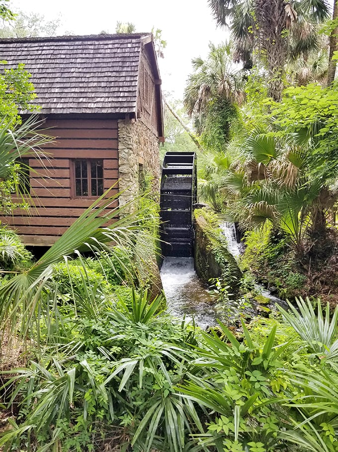 The historic millhouse stands as a testament to 1930s craftsmanship, its water wheel still turning with the spring's constant flow.