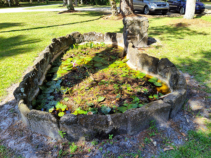 This isn't just any pond&mdash;it's a centuries-old watering hole where alligators probably gossiped about plantation drama.