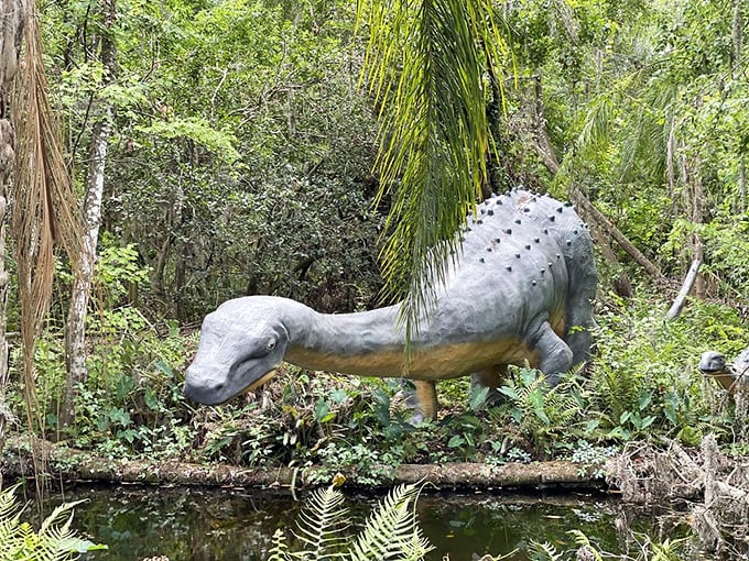 This ankylosaur looks like nature's tank – all armor and attitude, lounging in the Florida greenery like it owns the place.