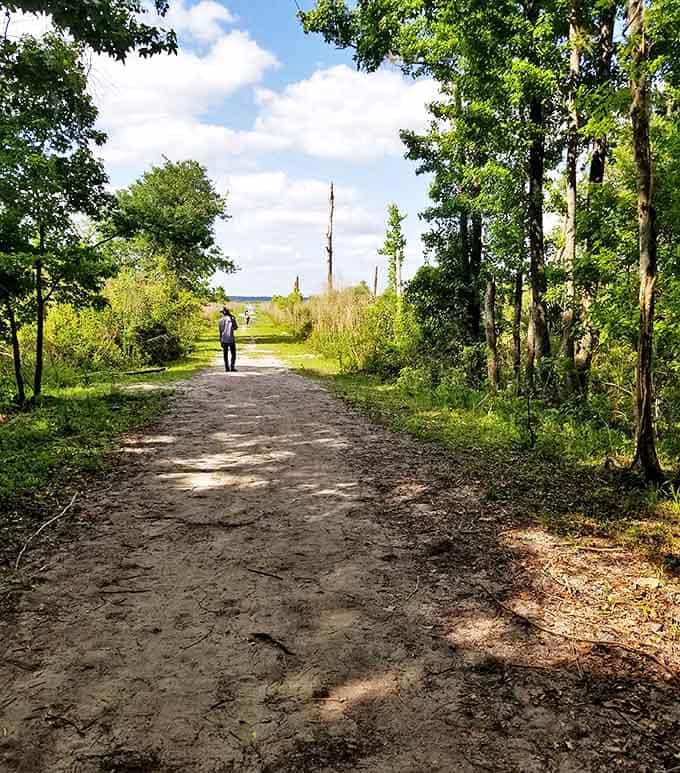 This trail promises adventure with every step &ndash; like a yellow brick road, but with possible alligator sightings instead of munchkins.