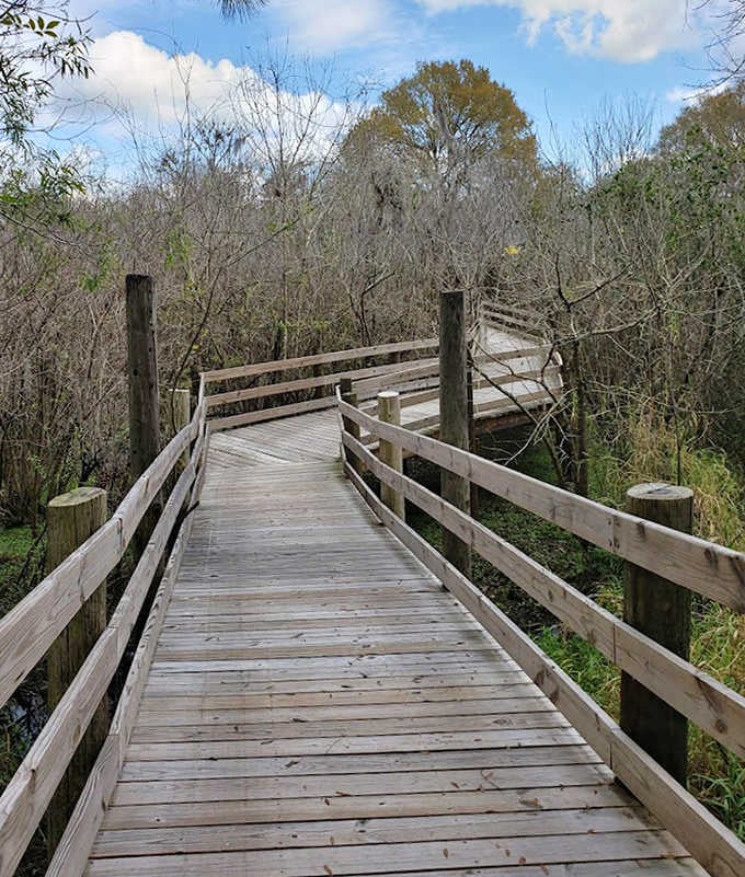 The boardwalk invites exploration through Florida's natural wetlands, a peaceful counterpoint to the man-made marvel nearby.