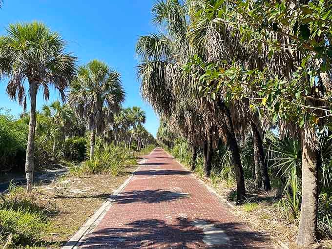 This path through the palms is basically nature's way of saying "slow down and enjoy the moment, you're on island time now."