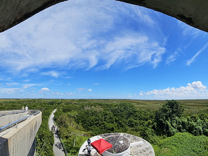 The panoramic view reveals the Everglades' patchwork of waterways and sawgrass &ndash; Mother Nature's attempt at abstract art, viewed from above.