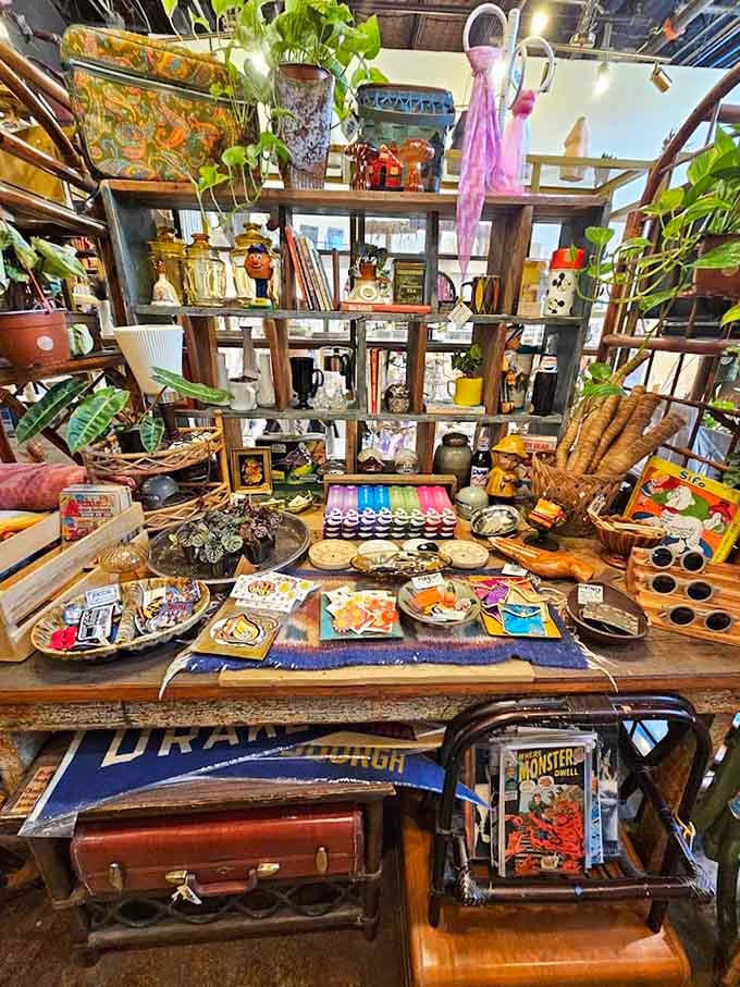 An eclectic collection of artisan goods creates a treasure hunt atmosphere where every shelf holds potential discoveries waiting to delight you.