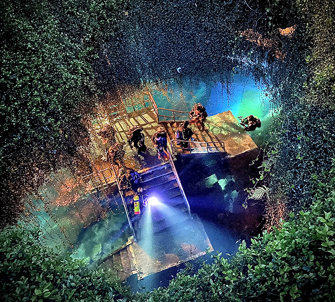 Bird's eye view: Looking down into the azure depths reveals the wooden platform where adventures begin.