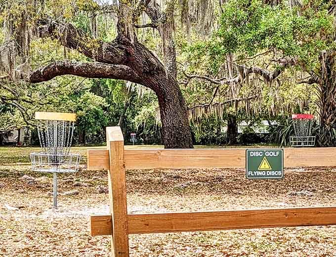 Lincoln Avenue Park's disc golf course proves you don't need clubs or carts for an afternoon of recreational frustration and occasional triumph.