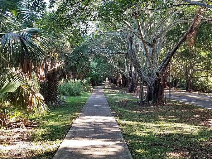 The pedestrian trail offers an intimate experience with these gentle giants, perfect for morning strolls or contemplative walks.
