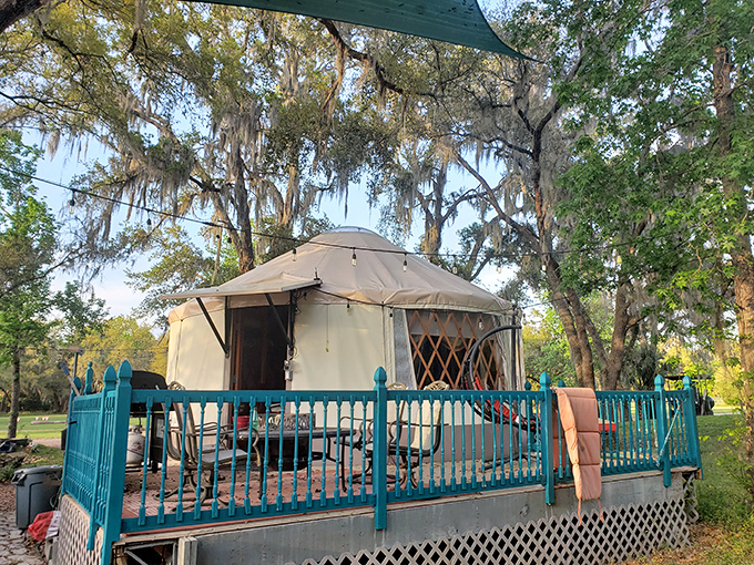 Not your average camping experience &ndash; this luxury yurt brings glamping to new heights with comfortable furnishings and canvas walls that whisper in the breeze.