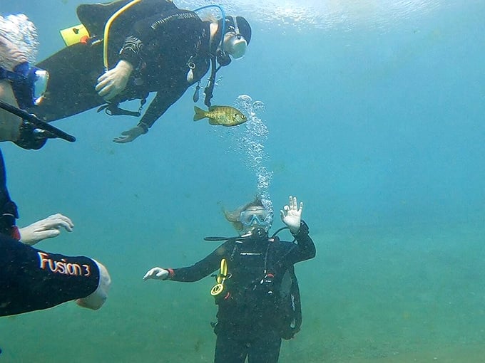 Diving: Explorers navigate the underwater realm where fish seem almost as curious about humans as we are about them.