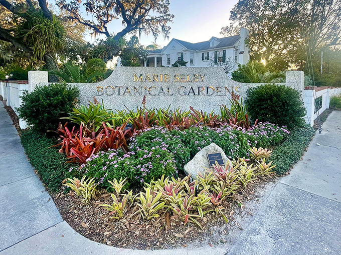 The entrance sign, surrounded by a tapestry of tropical plants, promises the horticultural equivalent of Willy Wonka's factory for grown-ups.