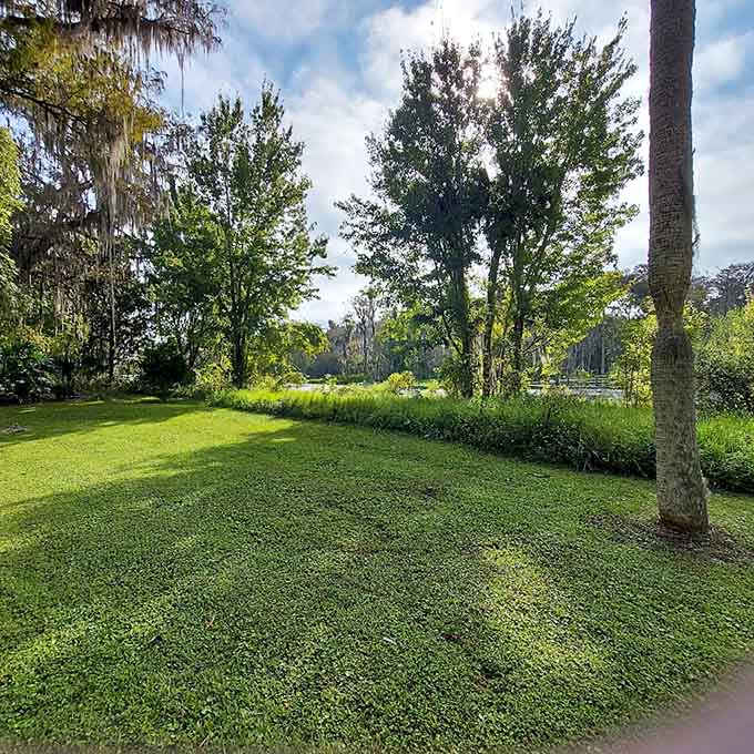 Sprawling lawns under majestic oaks create the perfect spot for a picnic, assuming you can stop staring at the scenery long enough to eat.