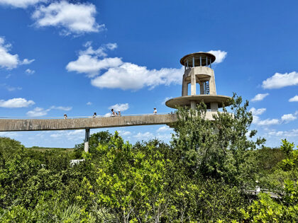 Explore 15 Miles Of Stunning Everglades Scenery On This Bike Trail In ...