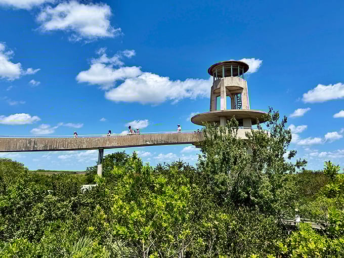 The observation tower stands like a lighthouse in a sea of grass, beckoning adventurers with promises of breathtaking vistas.