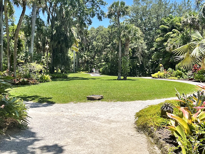 Sunlight dapples this perfect lawn clearing, nature's breathing room amid the garden's lush tropical embrace.