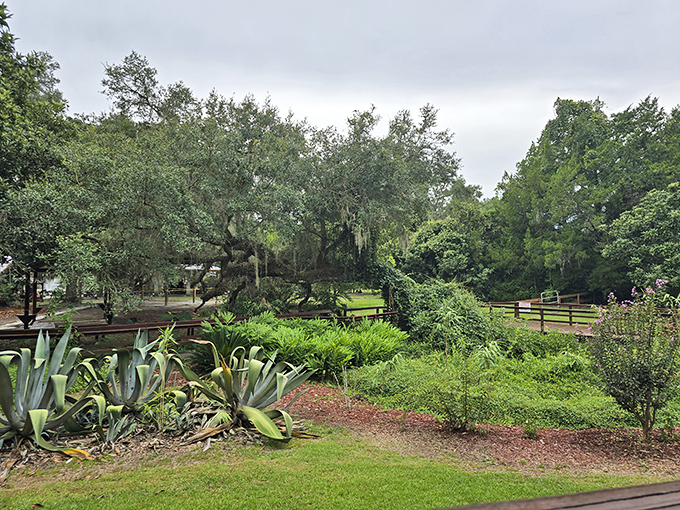 Sunlit sanctuary: Afternoon light transforms the cavern into a kaleidoscope of blues and greens.