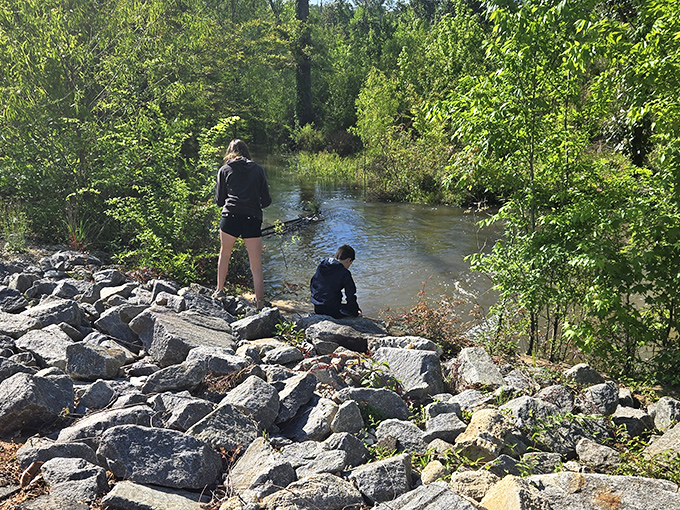 The park's crystal-clear stream provides a refreshing spot for impromptu geology lessons and rock-skipping competitions.