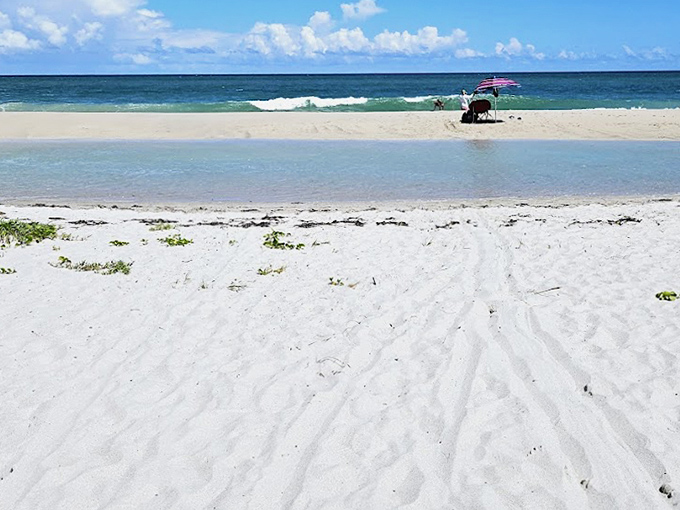 That rare beach moment: a single umbrella claiming acres of shoreline. In Florida terms, this is the equivalent of finding an empty parking spot at Disney.