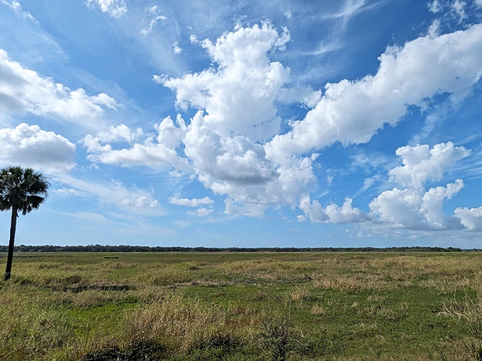 The vast prairie stretches to meet the sky, a reminder that Florida isn't all beaches and theme parks &ndash; it's wild, open spaces too.