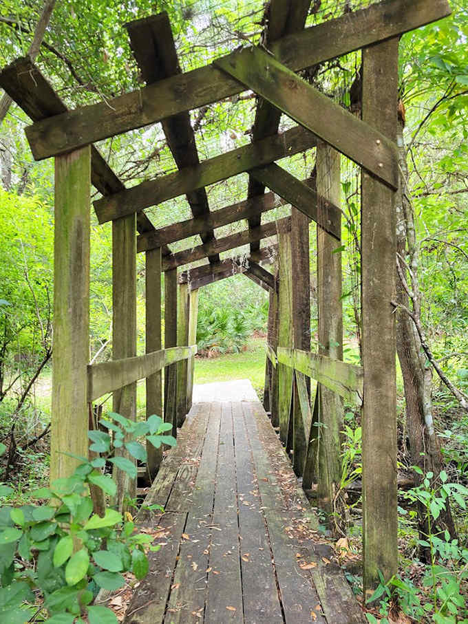 This rustic wooden footbridge feels like a portal to another world, its weathered planks telling stories of countless adventurers who crossed before you.