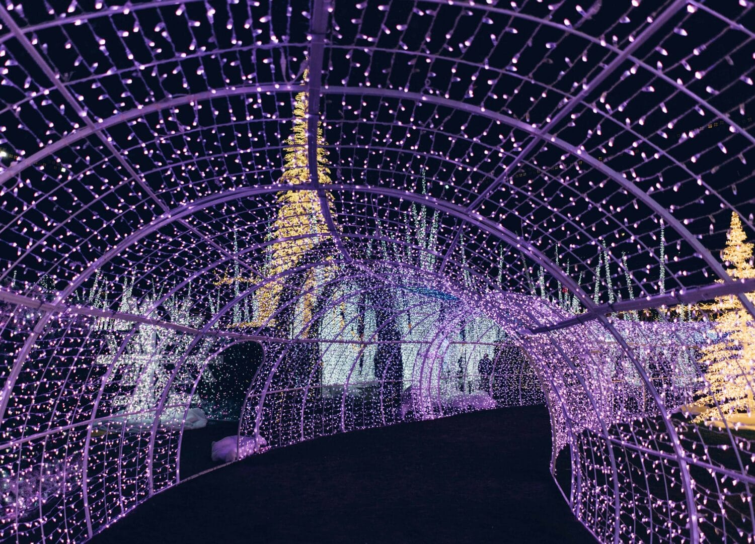 A magical Christmas tunnel