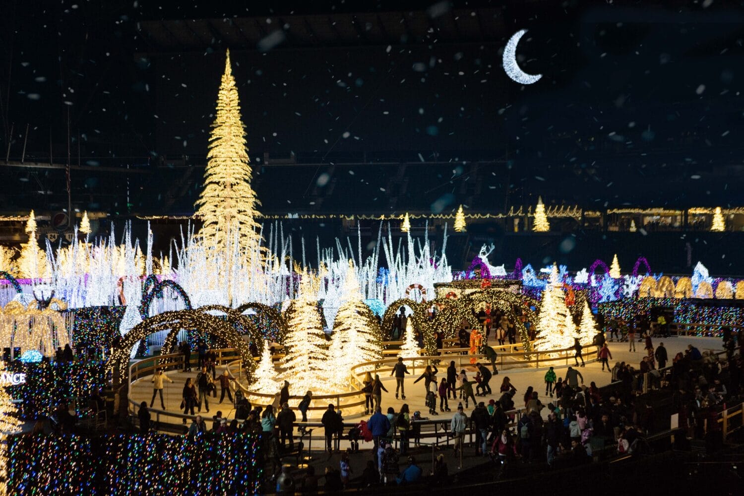 A photo of the surreal skating rink