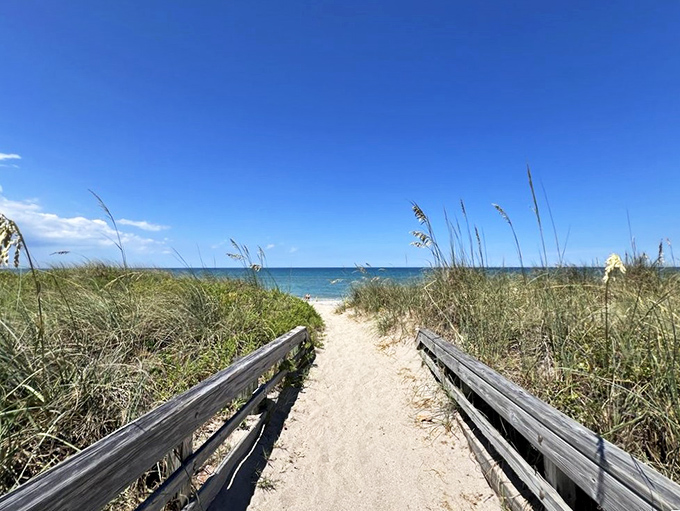 A sandy path between sea oats leads to Bob Graham Beach's pristine shoreline, promising solitude just steps from the parking area.