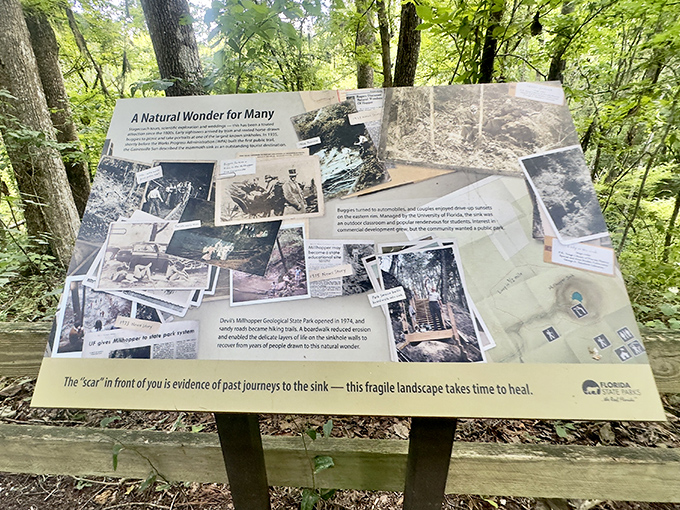 History lessons written in stone &ndash; this interpretive panel reveals the sinkhole's journey from mysterious pit to beloved park.