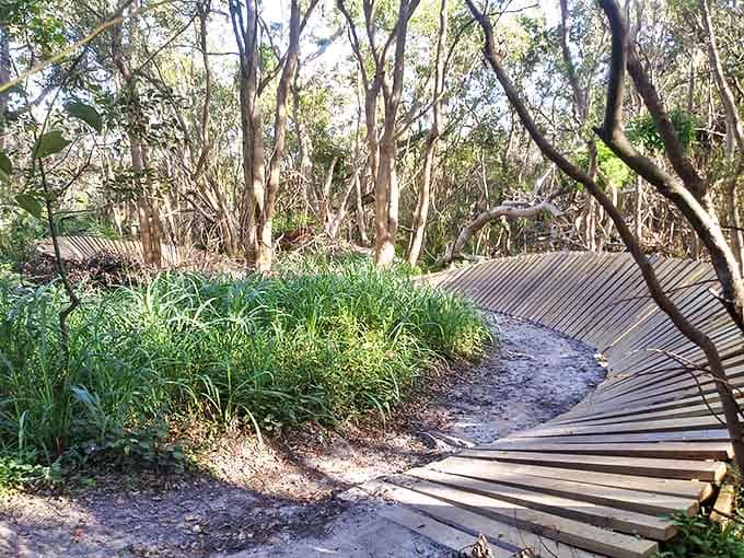 The Mount Dora Trail offers a journey through Florida's natural side &ndash; where the only traffic jam might be a family of turtles crossing your path.
