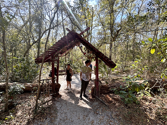 A rustic wooden archway welcomes visitors to the magical realm, where sunlight filters through the forest canopy above.