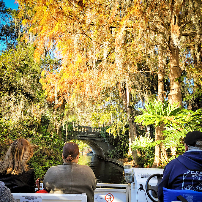 Fall's golden touch transforms the Spanish moss into curtains of amber light, creating a magical canopy over the narrow canal.