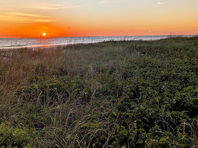 The Atlantic's morning light show, where sea oats catch fire with sunrise glow. Coffee tastes better when this is your breakfast view.