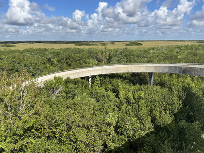 Explore 15 Miles Of Stunning Everglades Scenery On This Bike Trail In ...