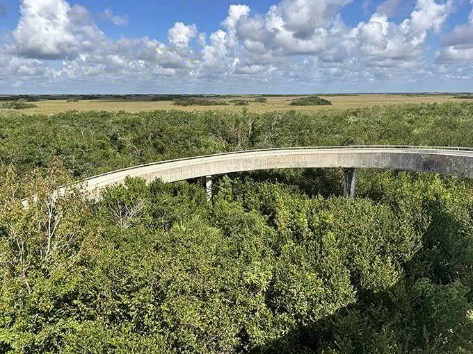 From above, the curved walkway resembles a question mark – asking visitors if they're ready to discover the Everglades' secrets.