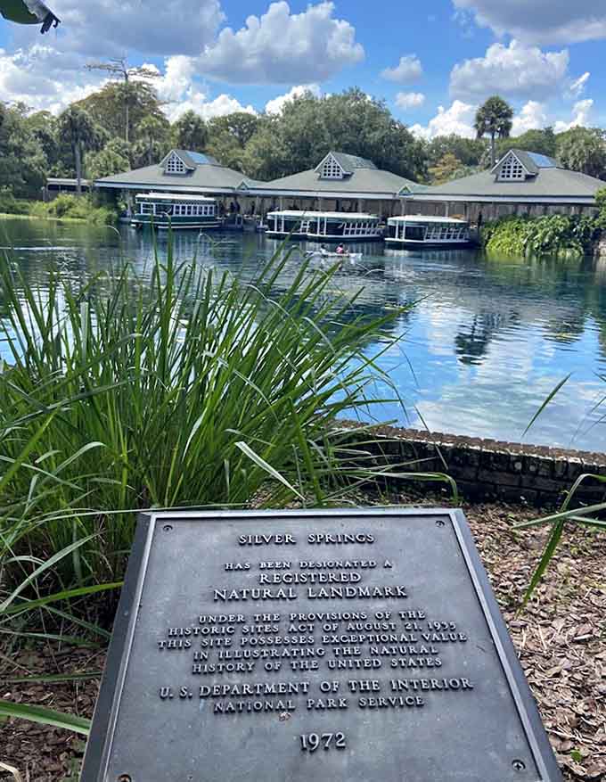 This National Natural Landmark plaque proves that even the federal government recognizes when nature absolutely nailed it.