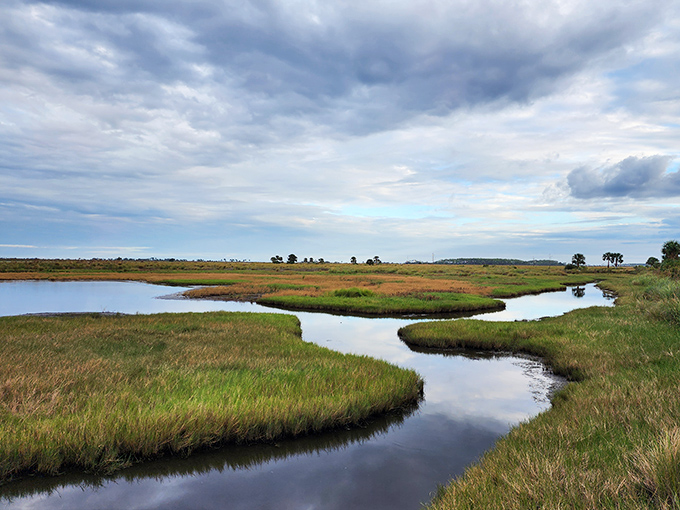Winding waterways cut through St. Marks' salt marshes, creating a maze of channels where kayakers can explore one of Florida's oldest wildlife refuges.