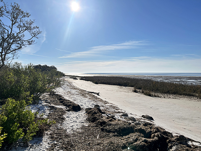 The pristine coastline of St. Marks Wildlife Refuge offers a glimpse of Florida's natural shoreline, where shorebirds probe the sand and ghost crabs scuttle between hiding spots.