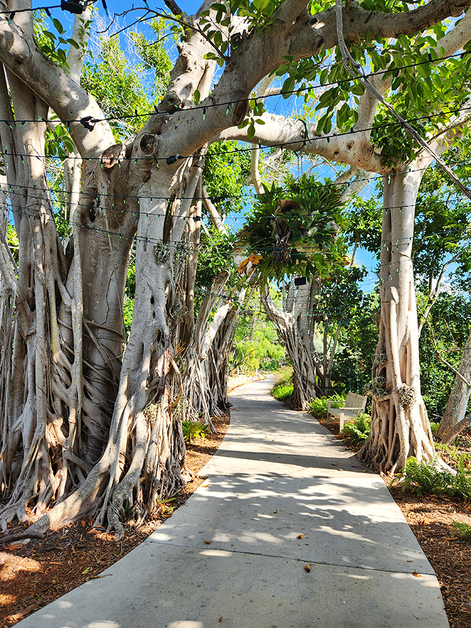 The Banyan Grove pathway creates a natural tunnel that makes you feel like you've wandered into a scene from "Avatar"&mdash;minus the blue people.