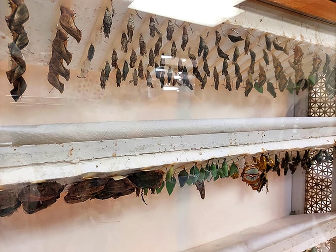 9. educational exhibit