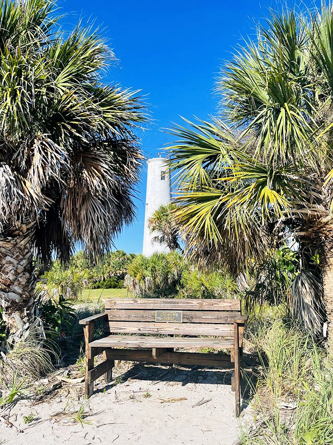 A moment of contemplation awaits on this weathered bench, perfectly positioned for lighthouse viewing between swaying palms.