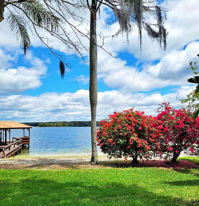 Sylvan Shores Park delivers lakefront tranquility without the beachfront crowds &ndash; those bougainvillea blooms are showing off just for you.