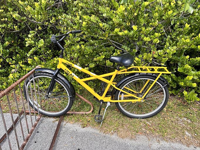 A cheerful yellow rental bike waits patiently, ready to transport visitors through 15 miles of wilderness without a single traffic light.