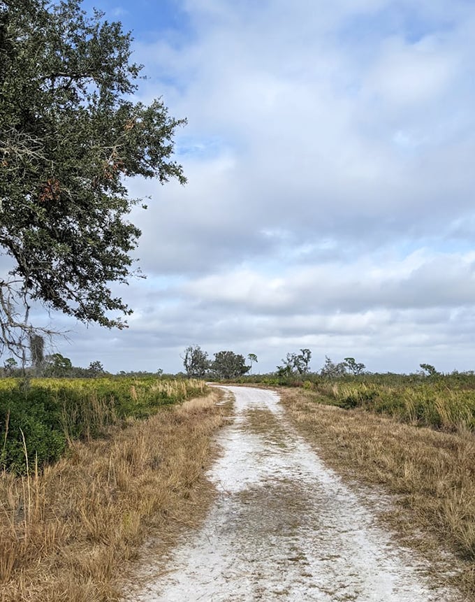 The path less traveled &ndash; Myakka's trails invite you to wander through landscapes that haven't changed much in centuries.