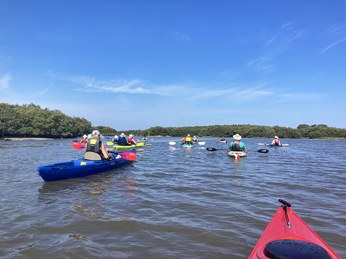 Kayakers glide through waters so calm, even your anxious aunt would feel zen paddling these peaceful channels.