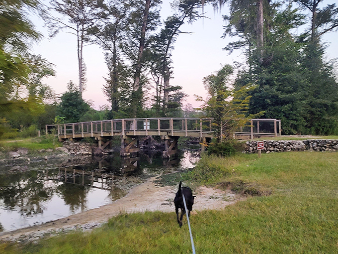 A wooden footbridge spans the gentle waters, connecting visitors to both sides of the park's natural beauty.