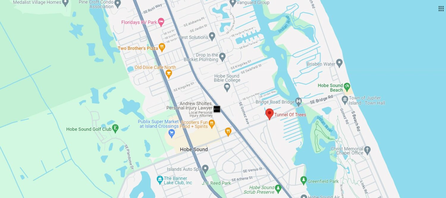 A Google Maps photo of Tunnel of Trees