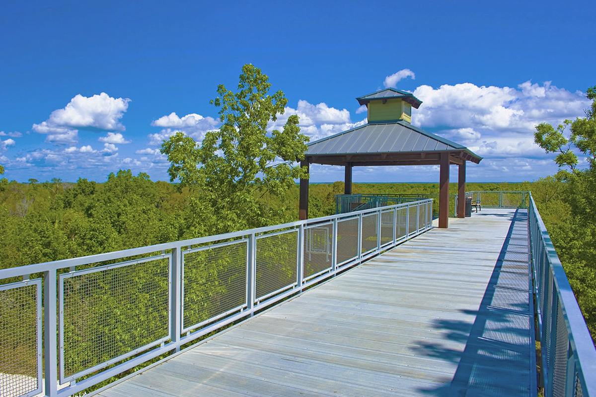 A beautiful capture of the Green Mountain Tower with vibrant greenery