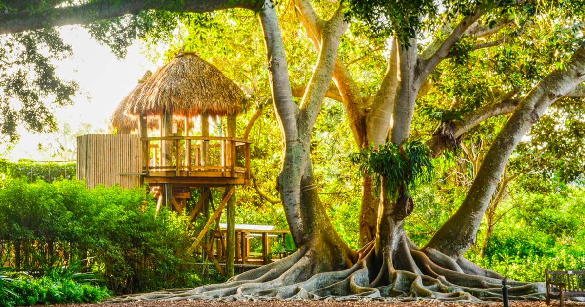 A beautiful spot inside Marie Selby Botanical Gardens