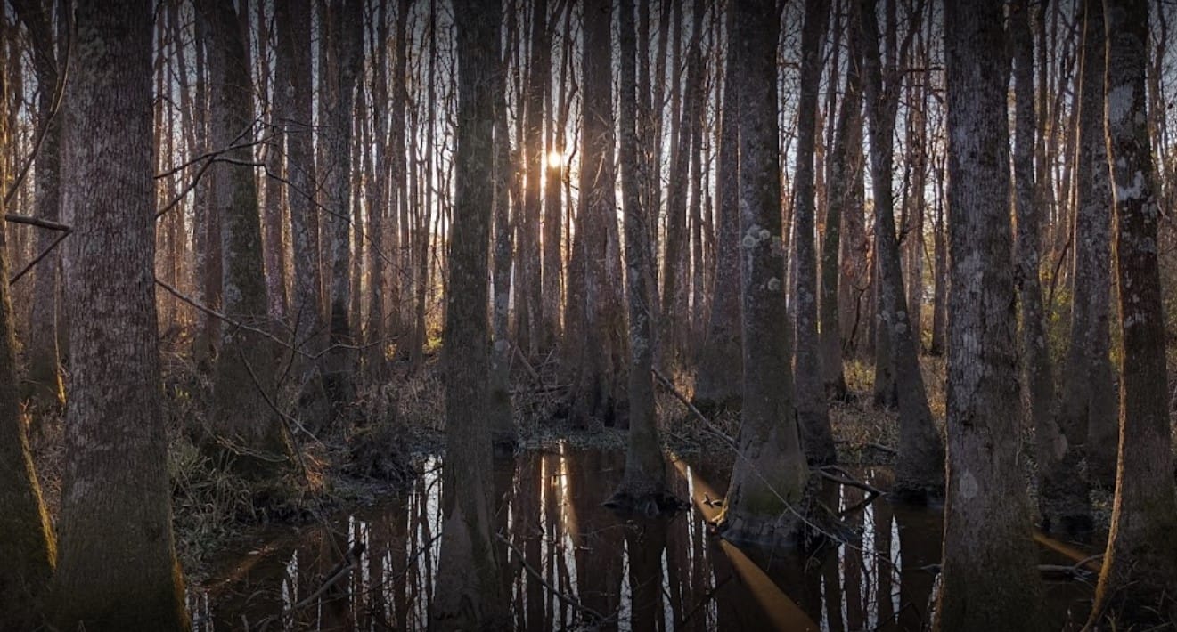A beautiful sunset in the nature center