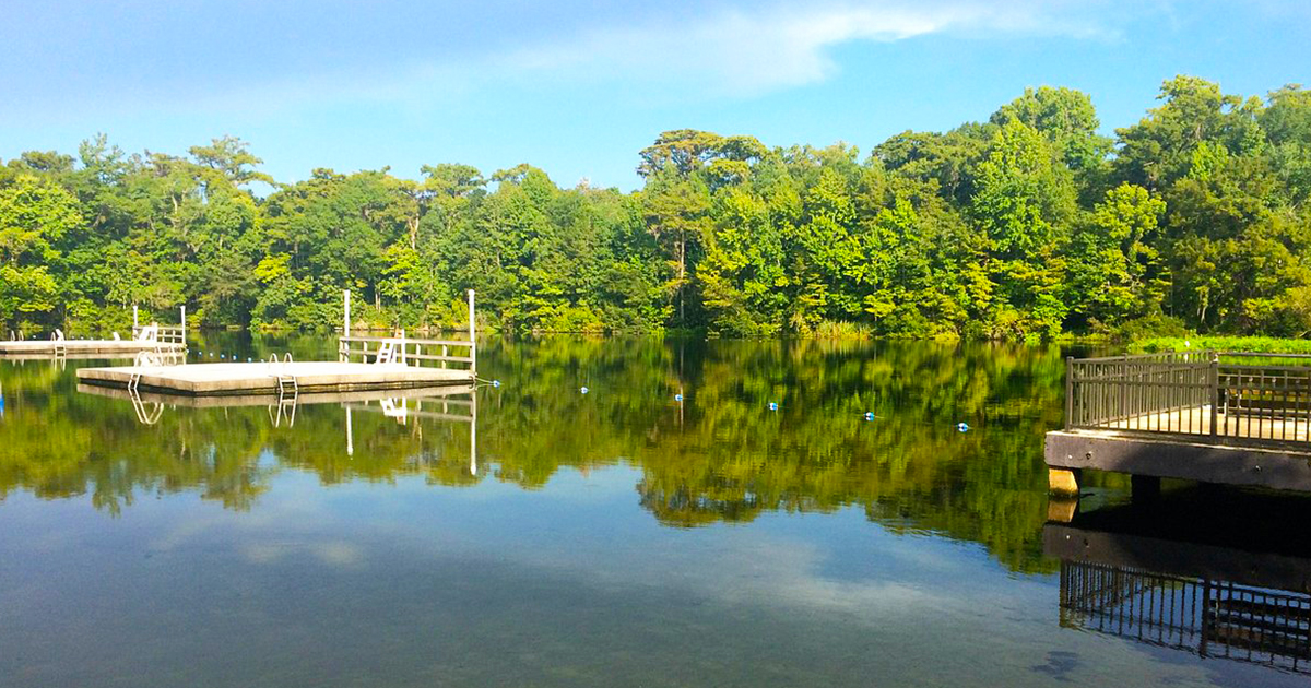 a beautiful view of the springs